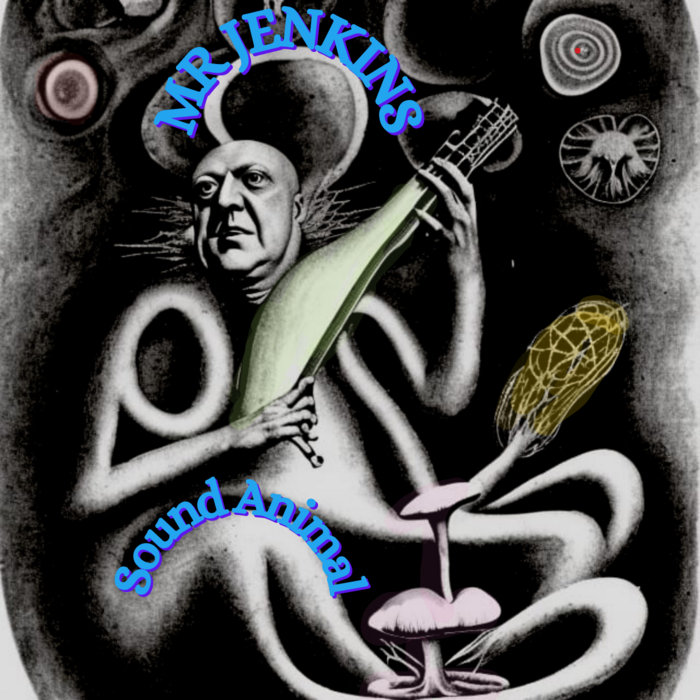 Mr Jenkins | Sound Animal