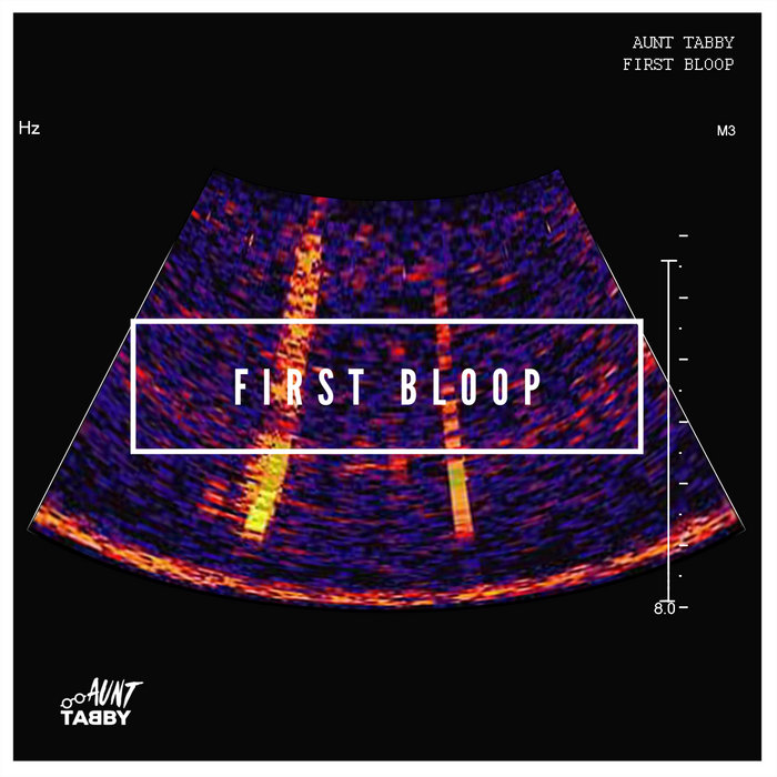First Bloop | AUNT TABBY