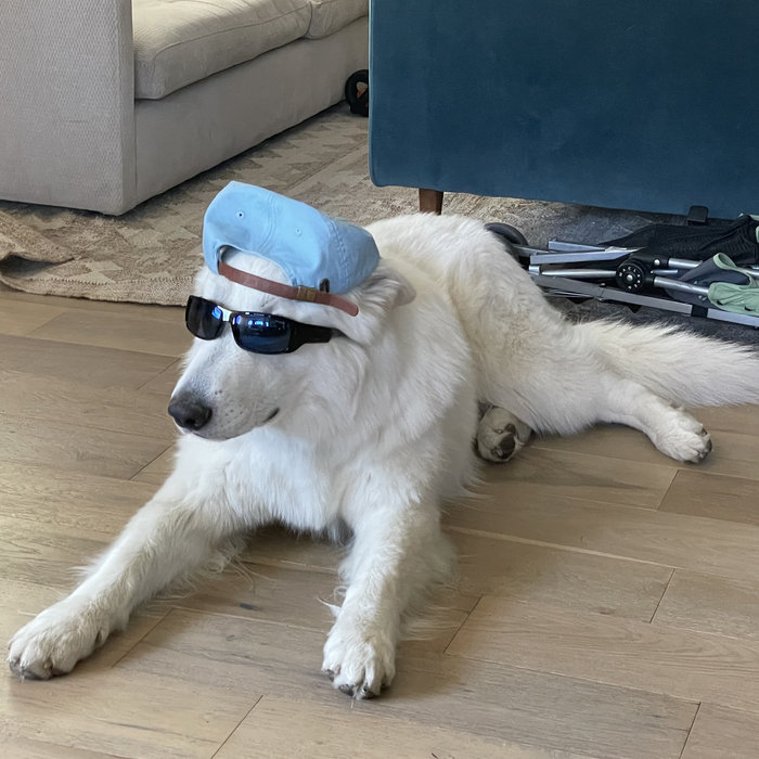 Lynus Demo | Count Leo