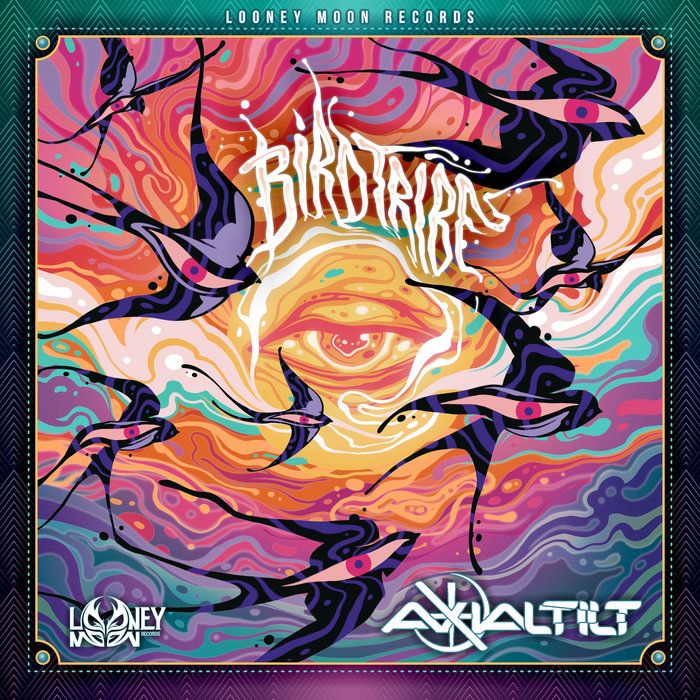 Bird Tribes | AXIAL TILT