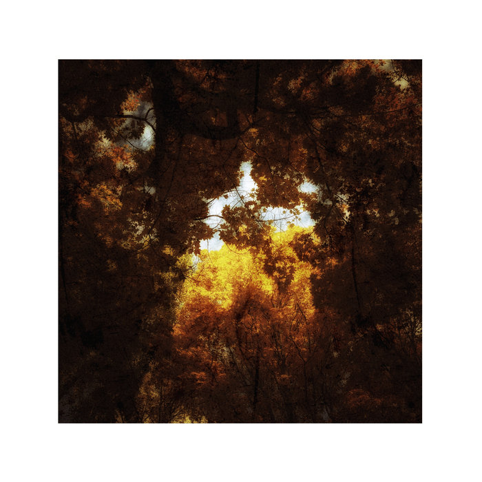 playground | ryoid