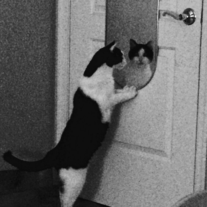 Alone | Chris Eichlin