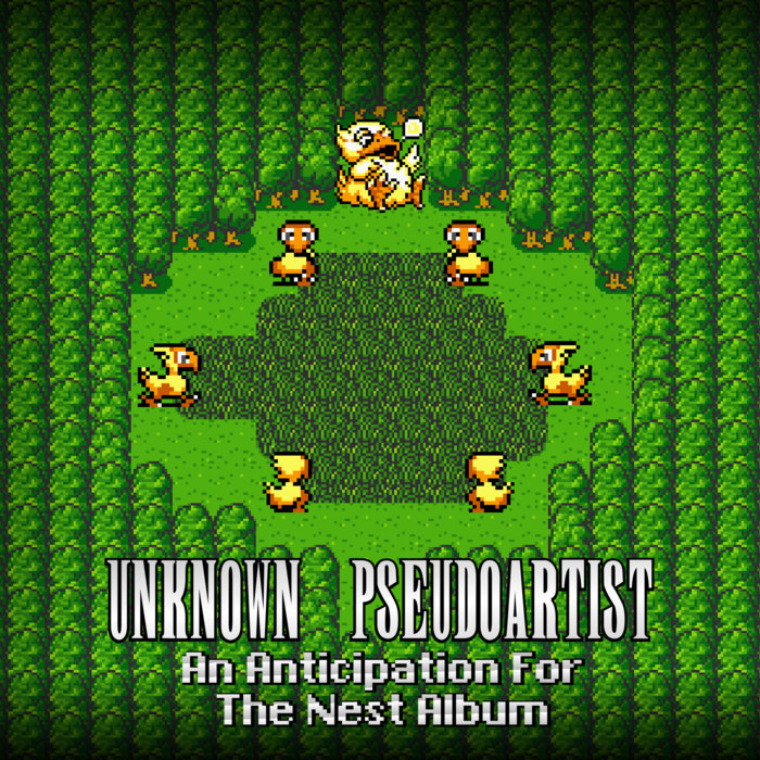 An Anticipation For The Nest album | Unknown Pseudoartist