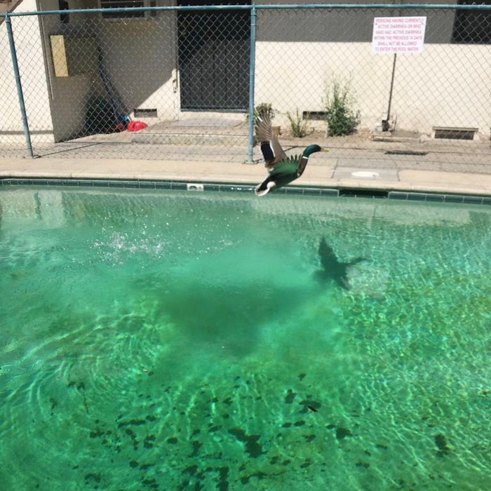 Tupper | Human Yo-Yo