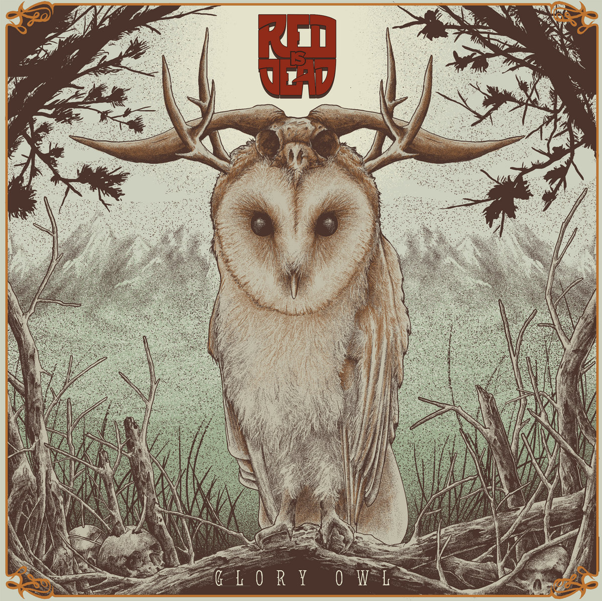 Afficher l'image d'origine | Music album art, Owl, Album art