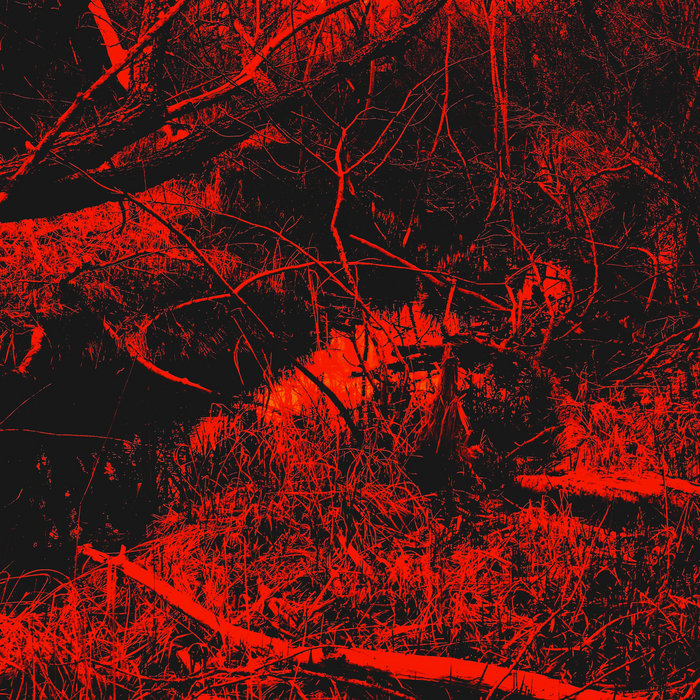 Anticosmic Womb | Discordant Meditation