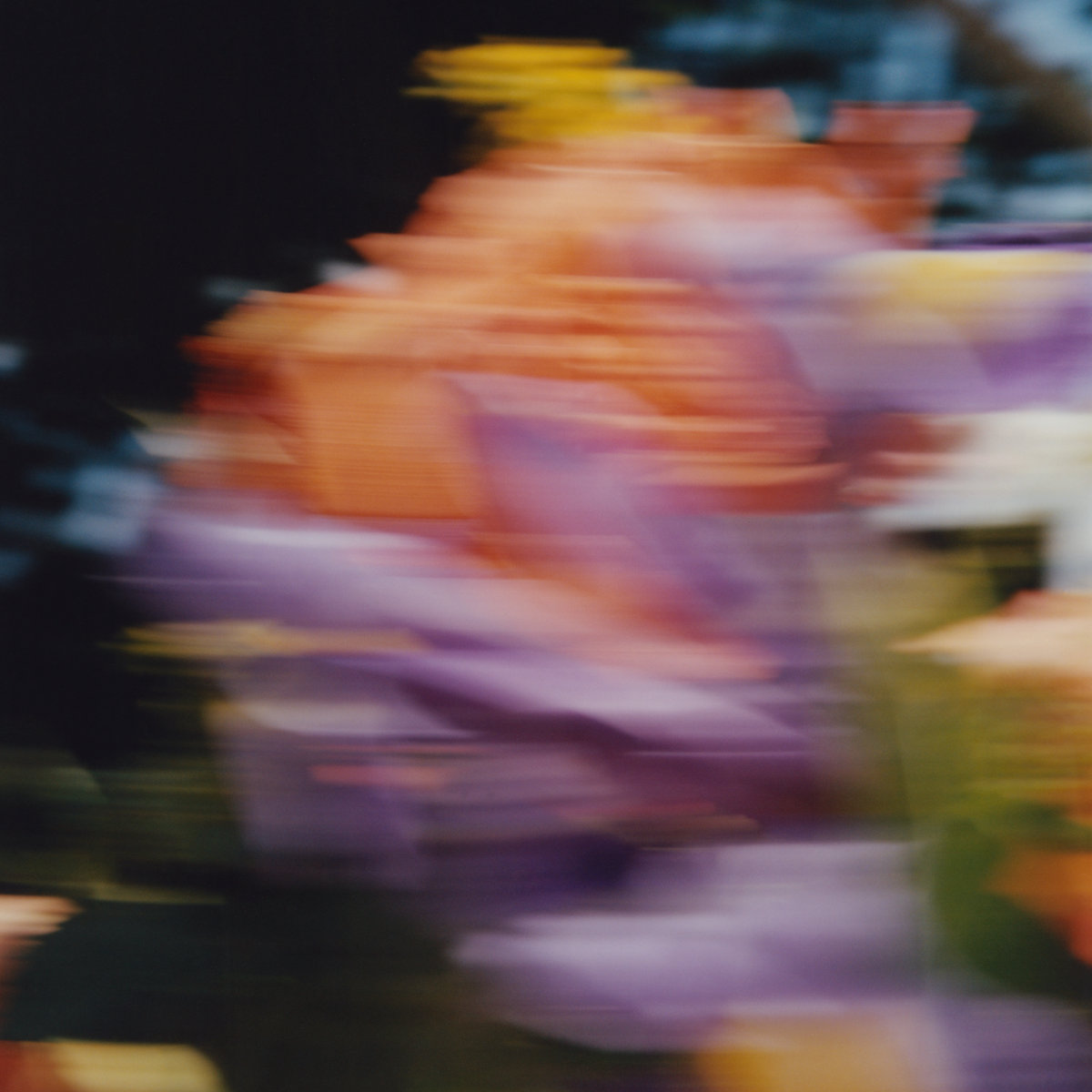 Tides | Catching Flies