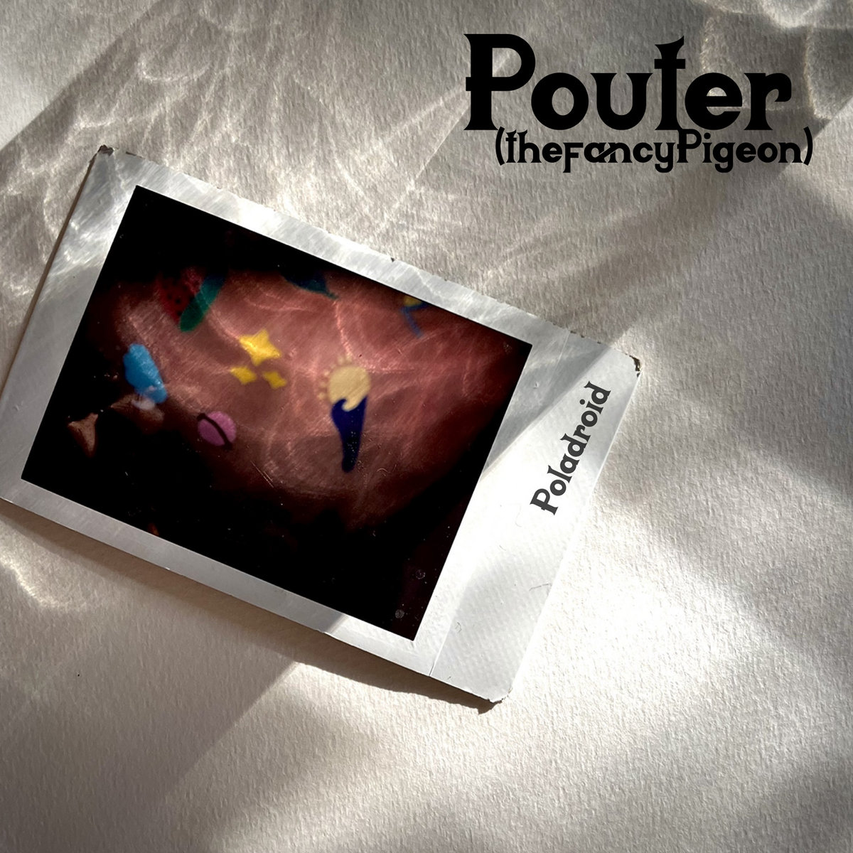 Poladroid | Pouter (the fancy pigeon)