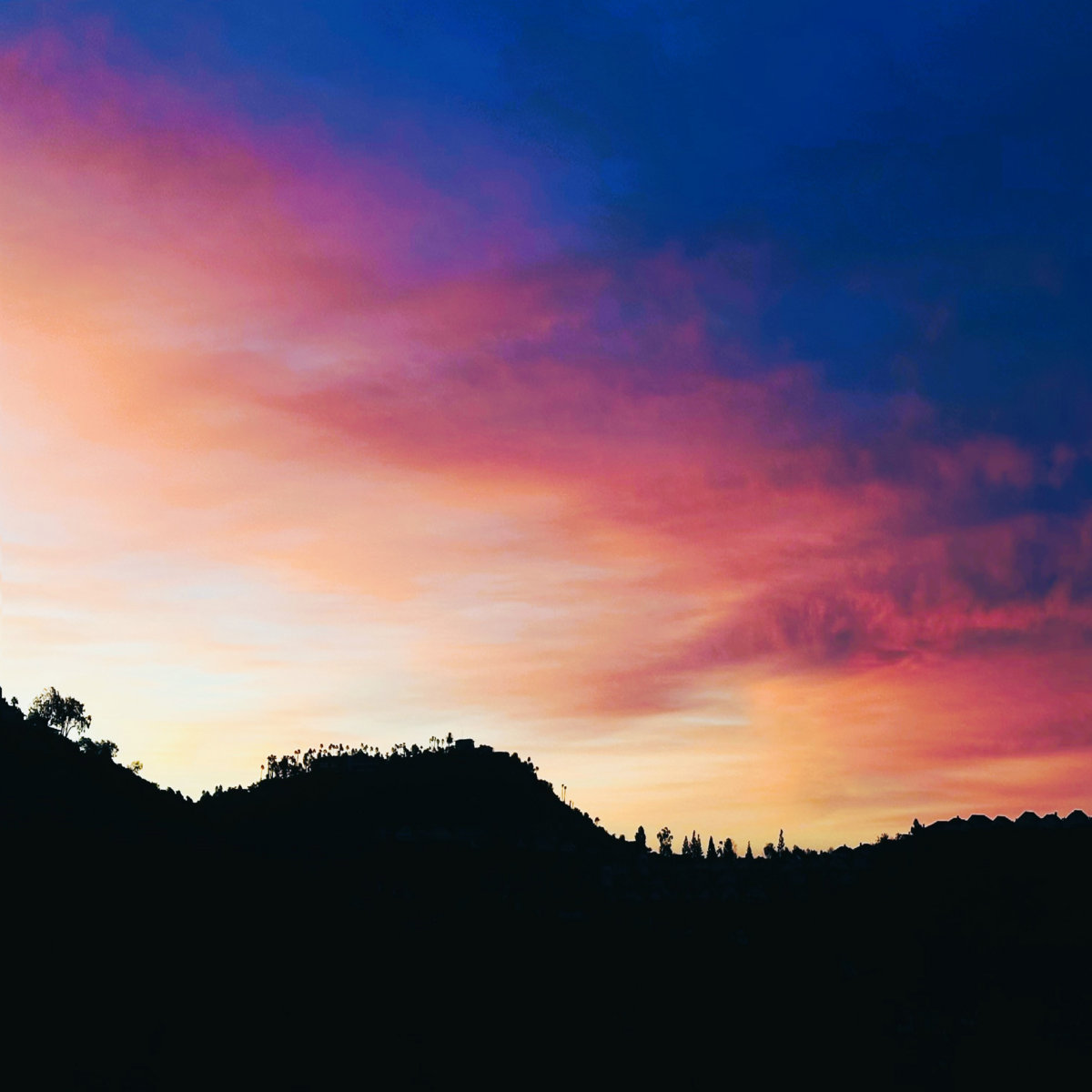 The Dawn | Cody Hoy