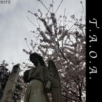 The Gates of Heaven (Deluxe) | Autumn Brigade