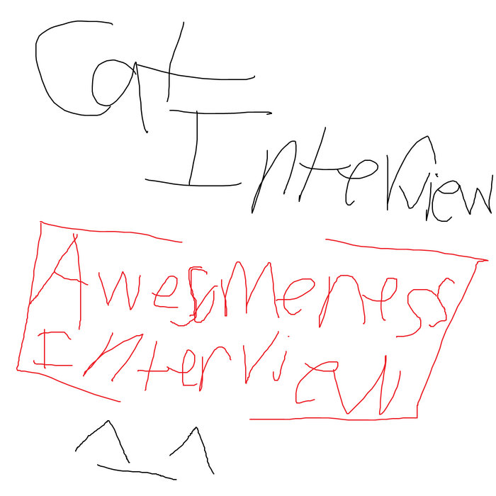 cat interview 20223 :) -> :3 | seb | 0FORM