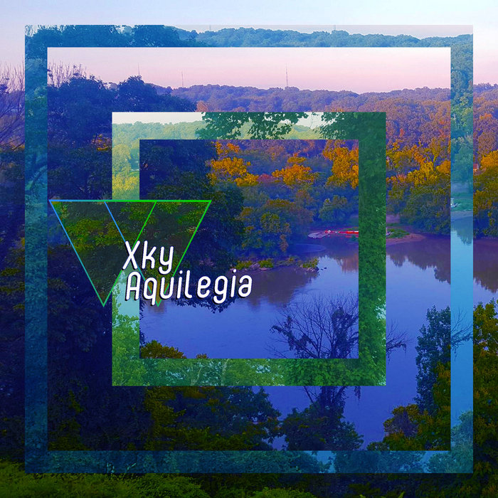 Xky: Aquilegia | XKY