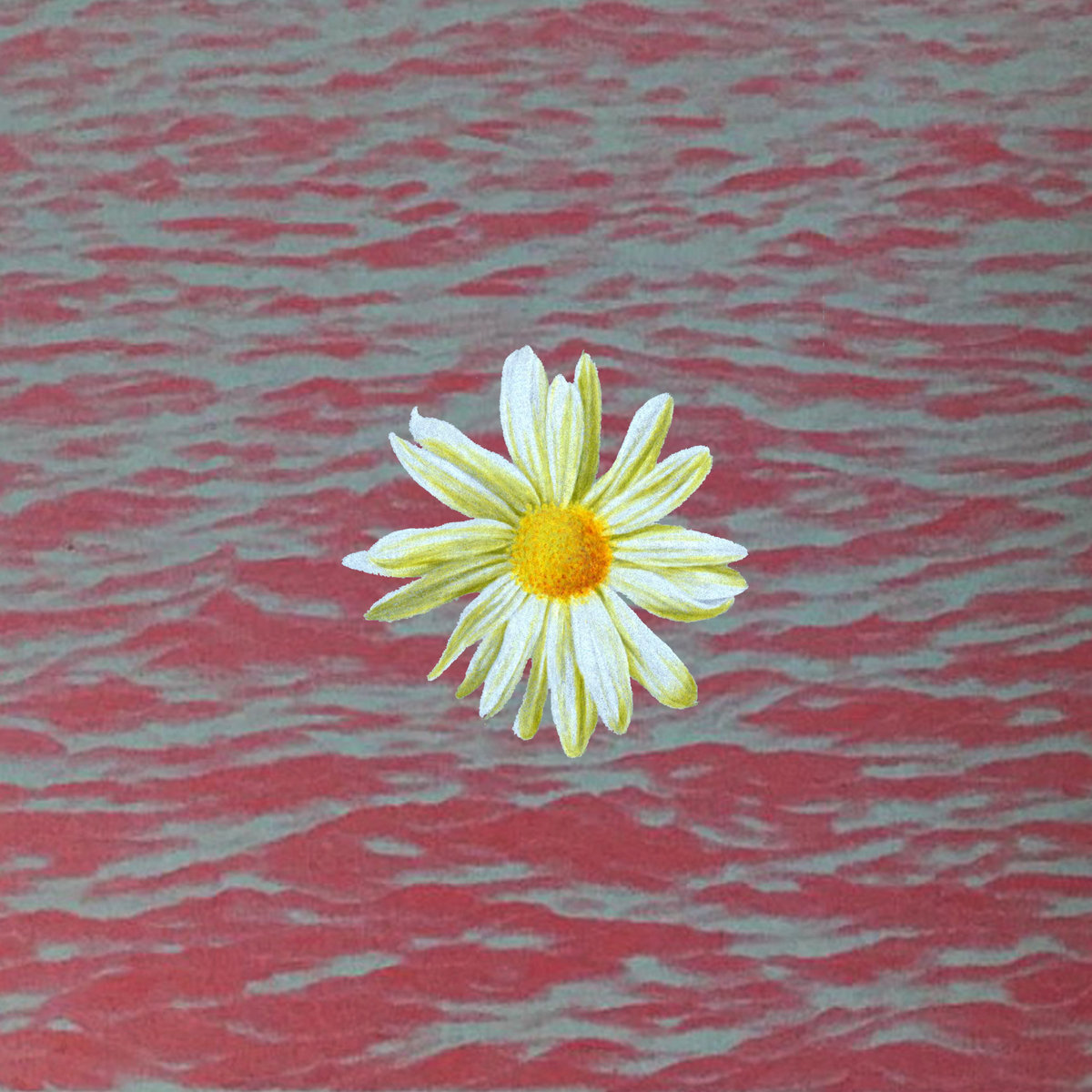 Aster George Yoder Georgeyoder