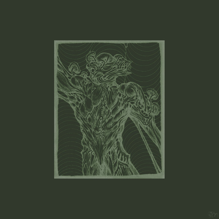 Thorned Mycelium Growing Through Mummified Skin | Garden of Myxini