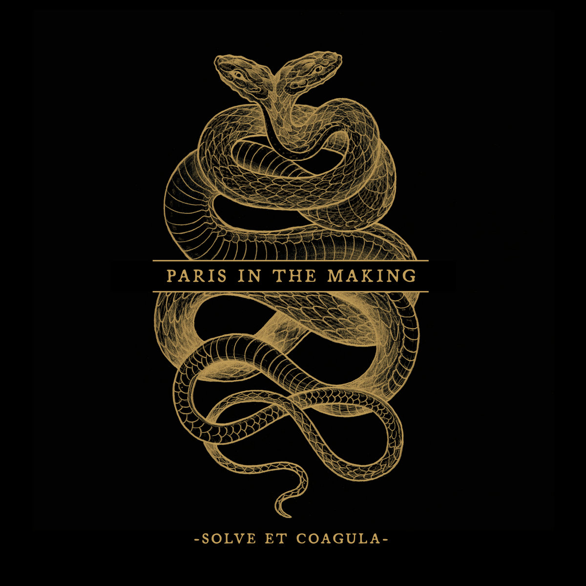 Solve et Coagula | Paris in the Making