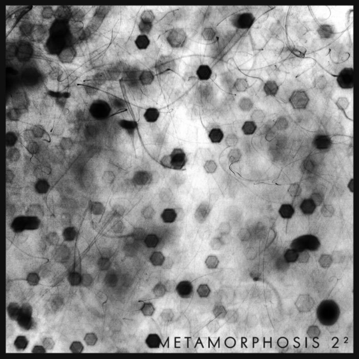 Metamorphosis 2^2 | Heat and White