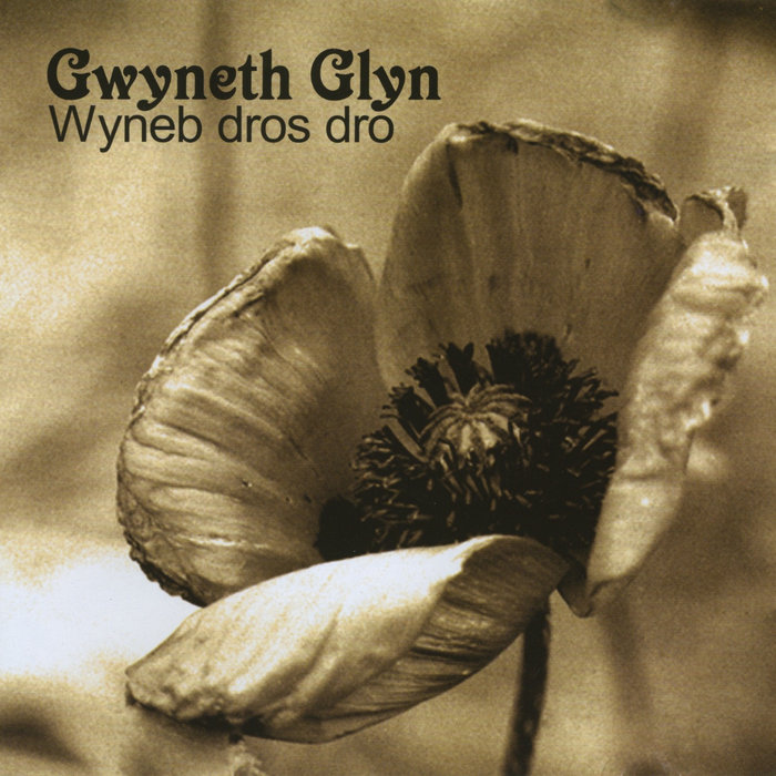 Wyneb dros dro | Gwyneth Glyn
