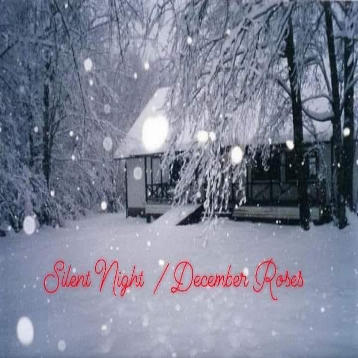 Silent Night / December Roses | Rob Lemon