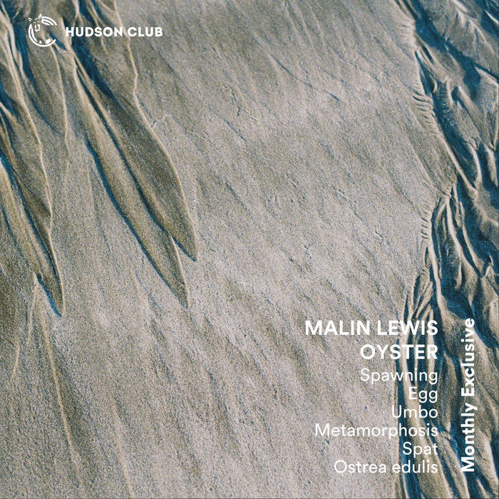 Oyster | Malin Lewis | Hudson Records