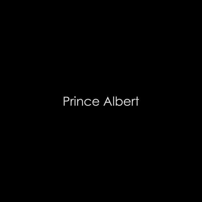 Prince Albert | The Far Aparts