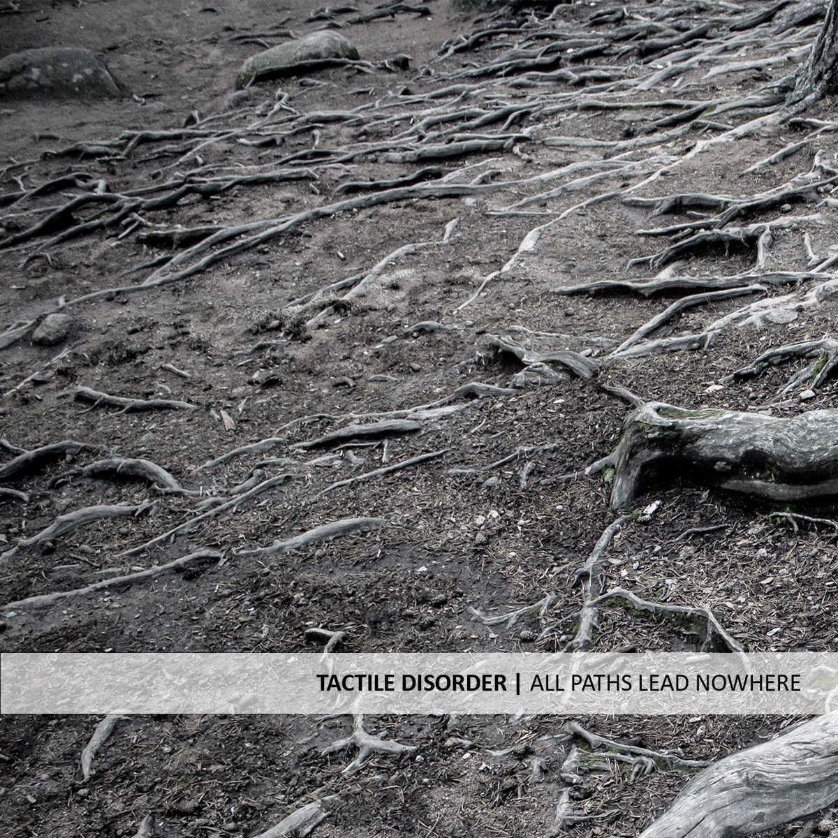 All Paths Lead Nowhere | Tactile Disorder All Paths Lead Nowhere | Tactile Disorder