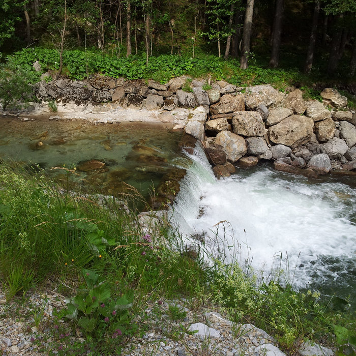 Viktor Schauberger Repulsine Pdf Download | Anasrhe | nalistionena