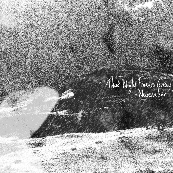November | That Night Forests Grew