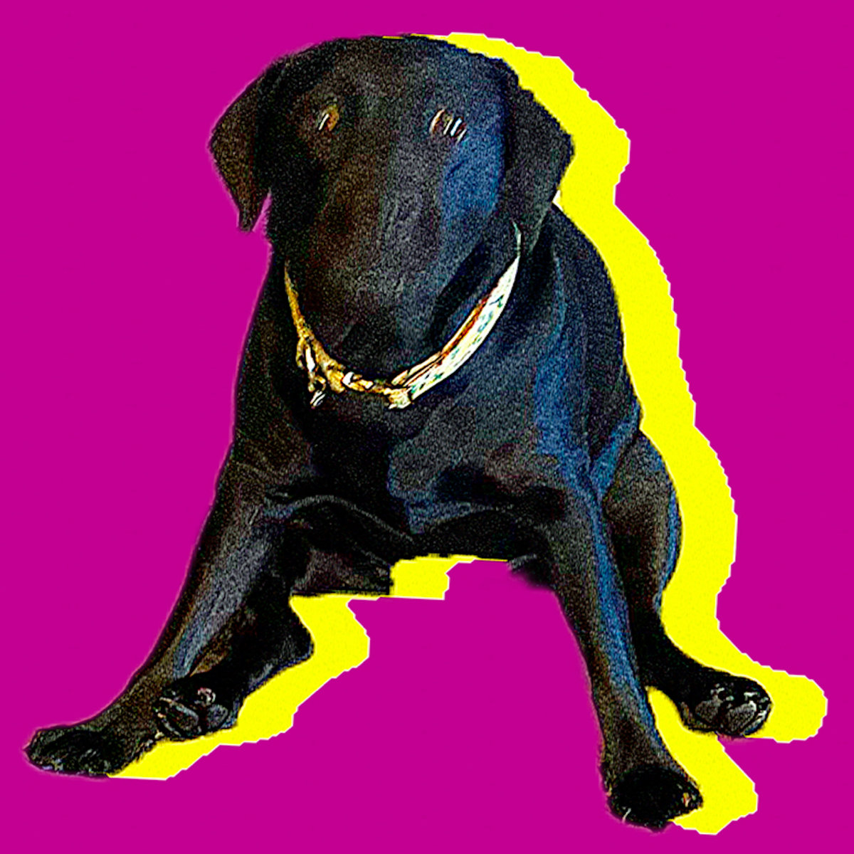 Big Toe | Brave Gardener | Joe Gardella