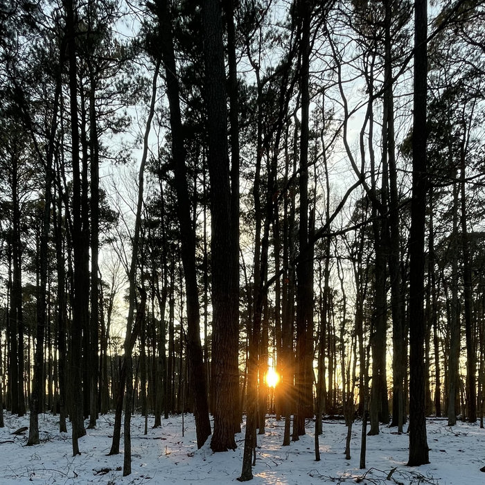 Late One Afternoon | Steve Rudolph - Joshua Davis - Phil Haynes | Phil ...