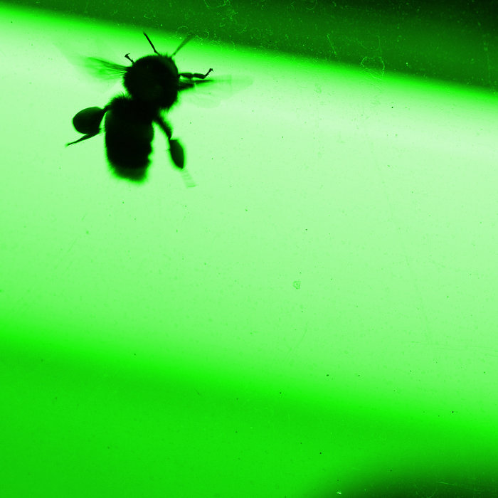 Slippy B | Dronestool