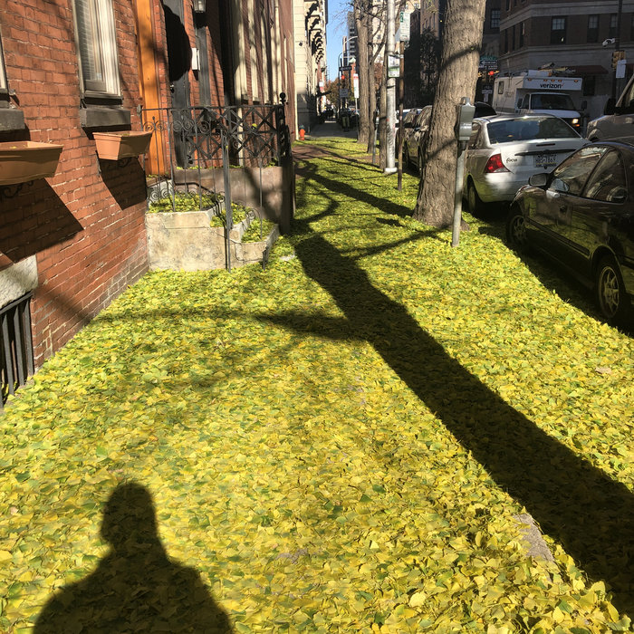 Family Gathering | Naff