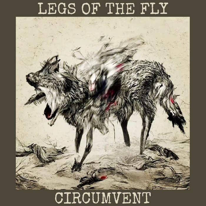 Legs of the Fly / Circumvent Split | Legs of the Fly, Circumvent ...