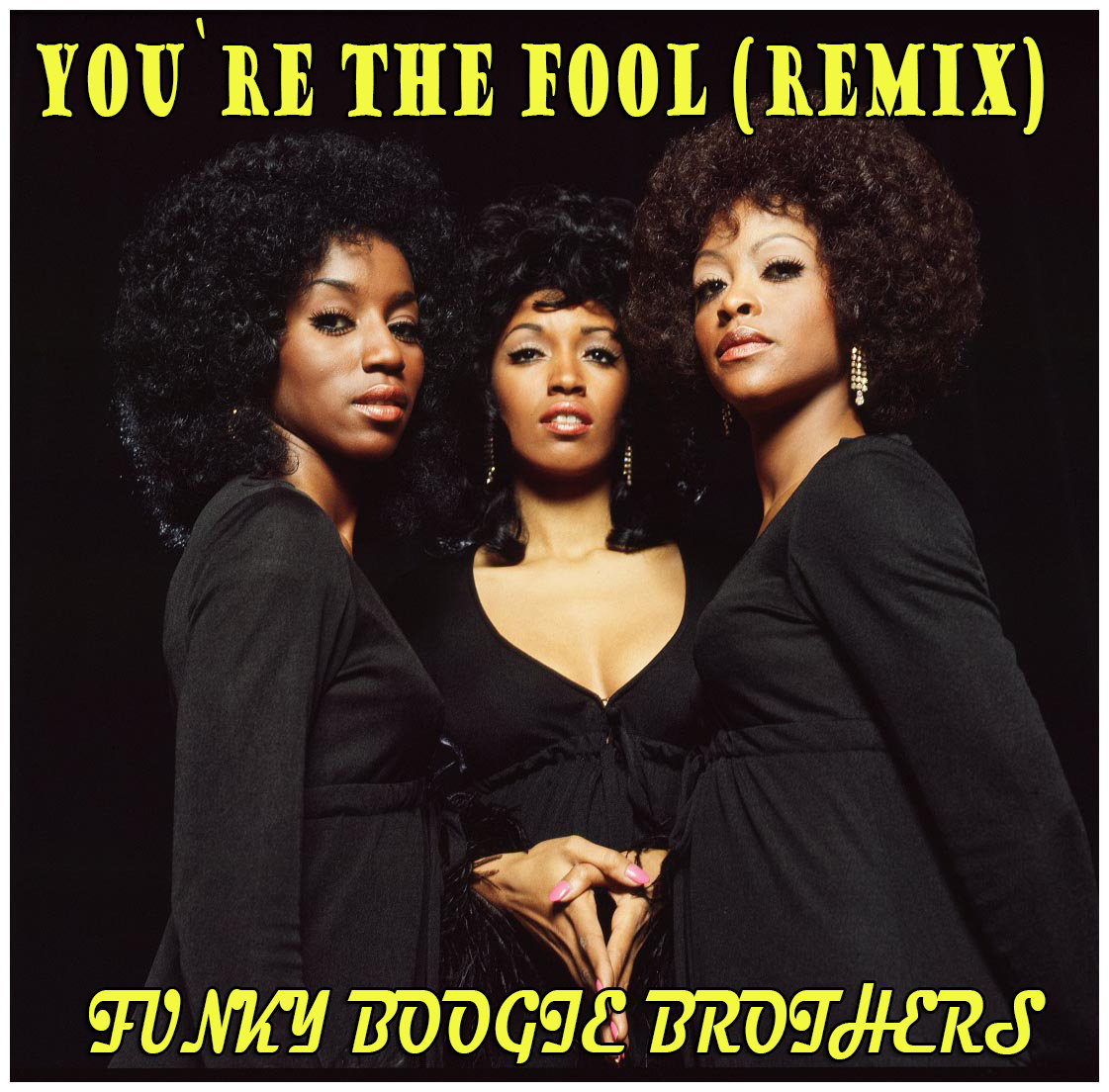 You`re The Fool (Remix) | Funky Boogie Brothers