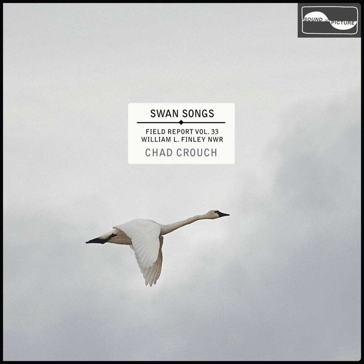 Swan Songs | Chad Crouch