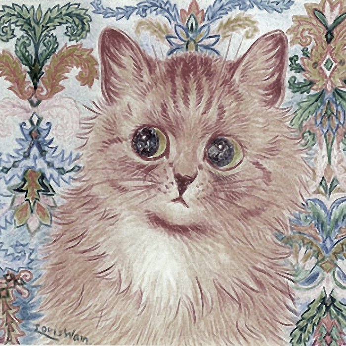 The Bedlam Variations | Steven Severin