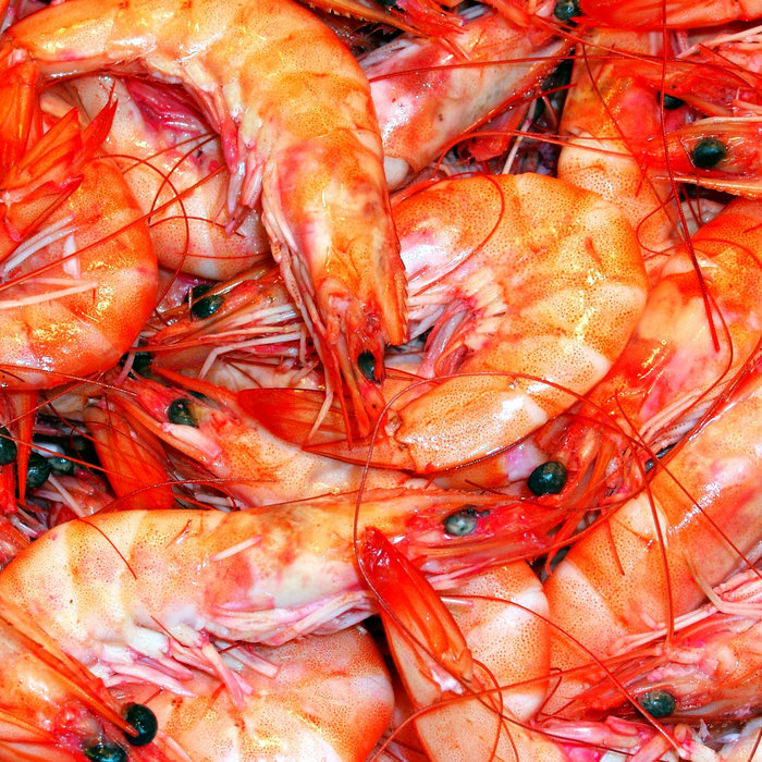 Prawn Paradise | Aroin | aroin prawn