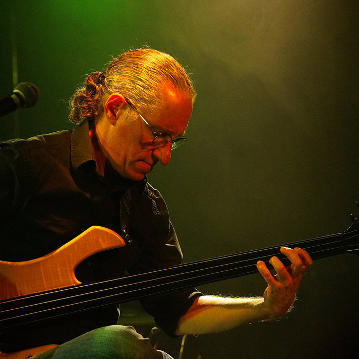 Blue Orleans | Michael Manring