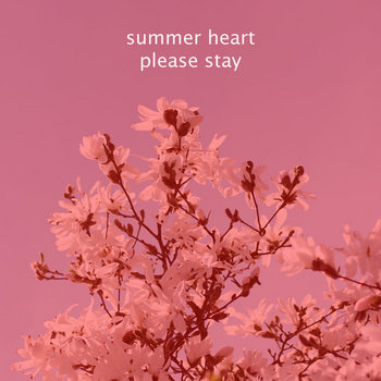 Music | Summer Heart