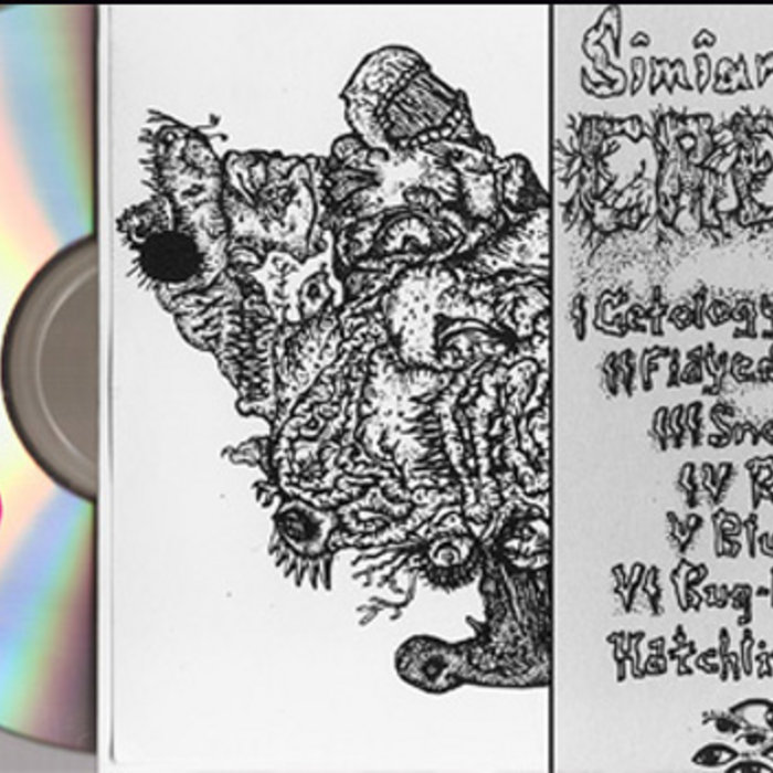 Creature | Simian Washboard | Rainbow Bridge