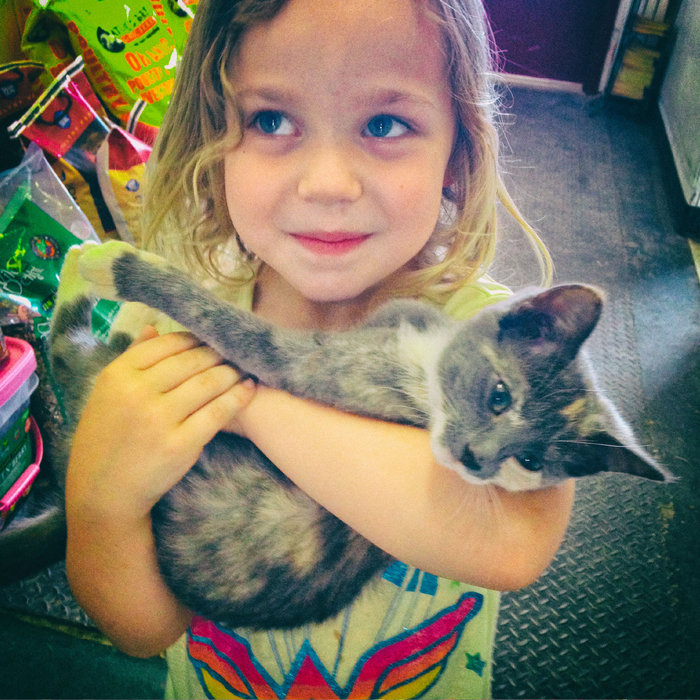 Debut Single | The Kitten Band | Third Uncle Records