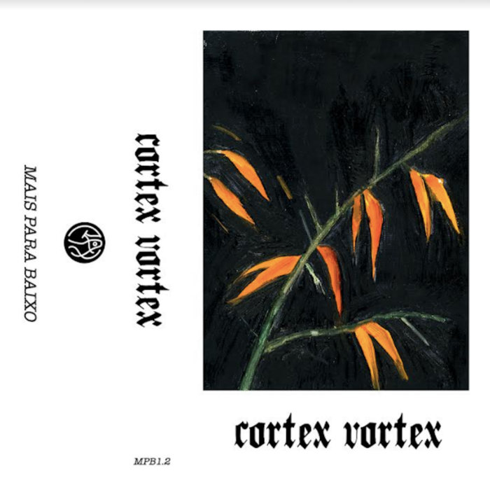 Cortex Vortex | Cortex Vortex | Mais Para Baixo