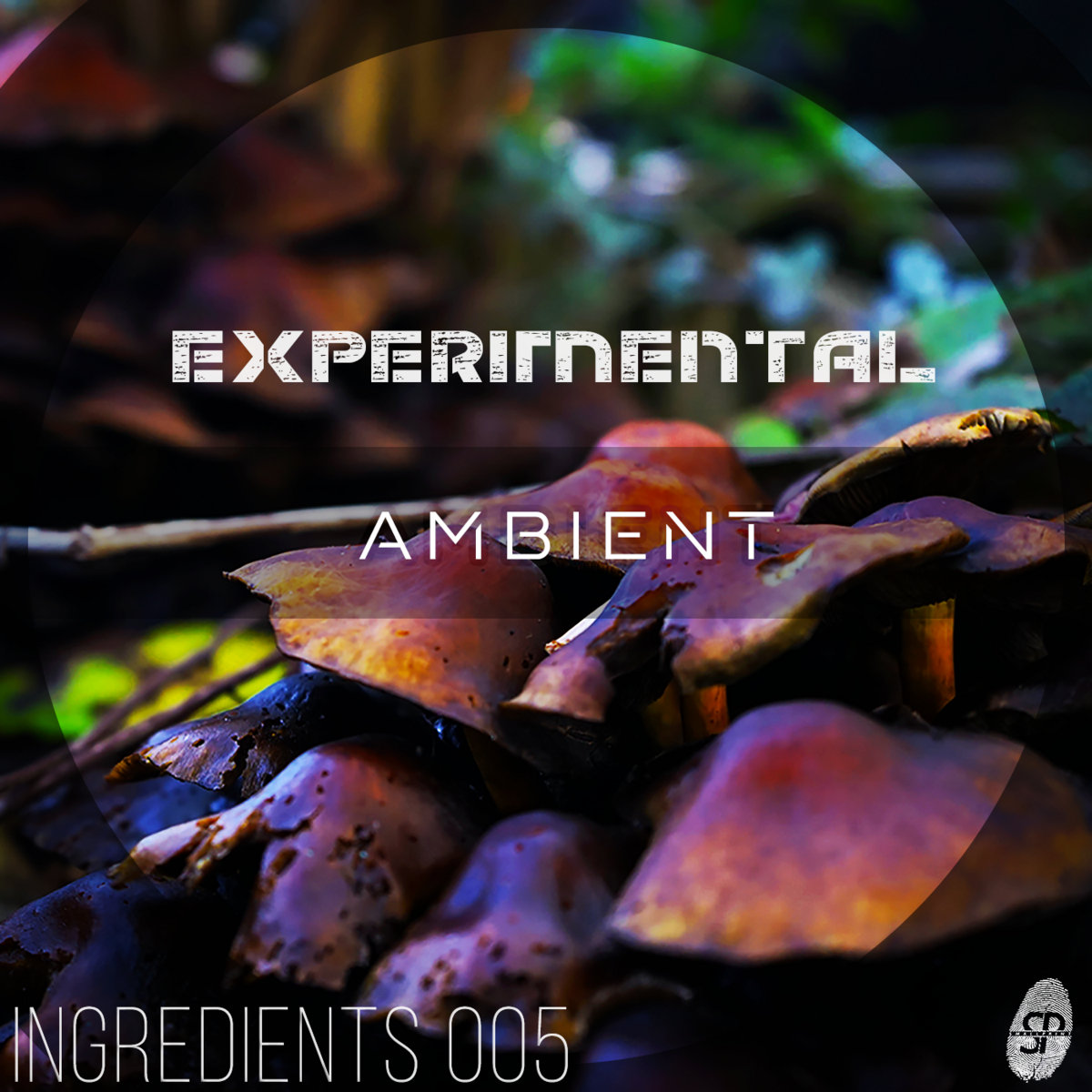 Ingredients 005: Frinla - Experimental Ambient | SmallPrint Recordings