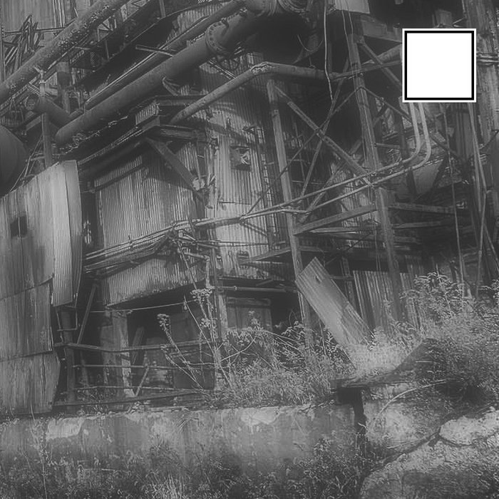 Harsh Reality | White Square | Not Even Art Records