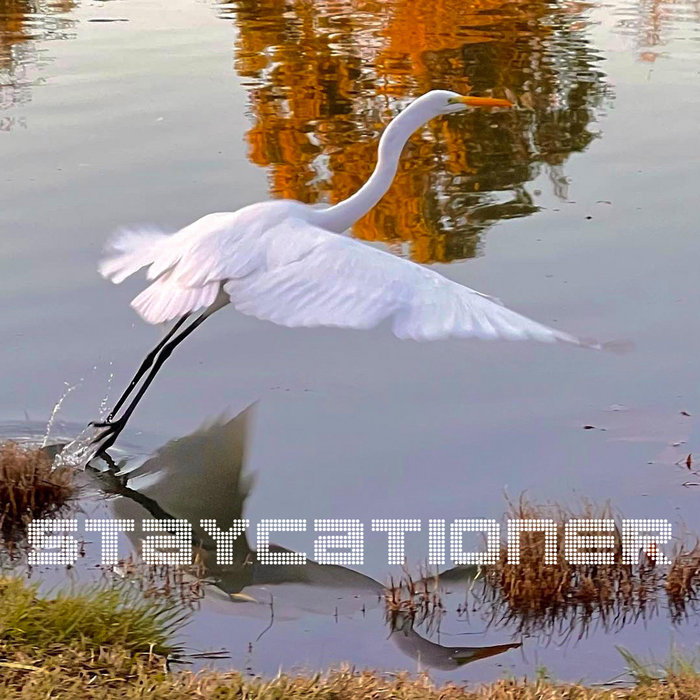 Things Left Unsaid | Staycationer