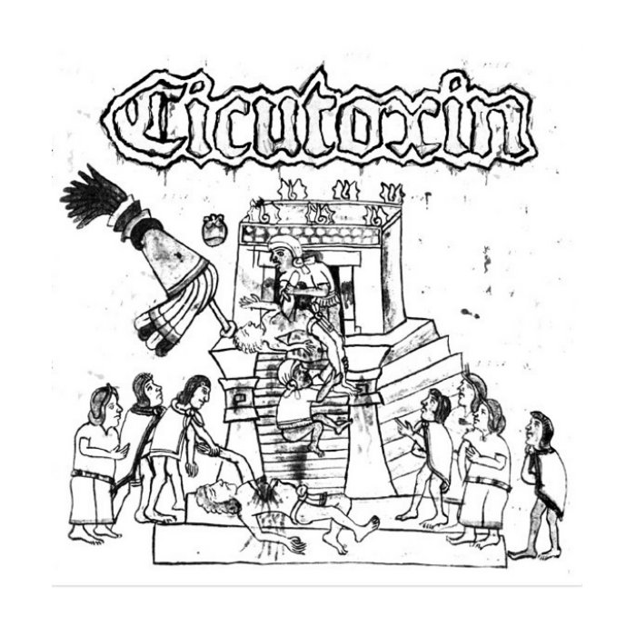 Cicutoxin / Necroslurg : Split ep | Cicutoxin