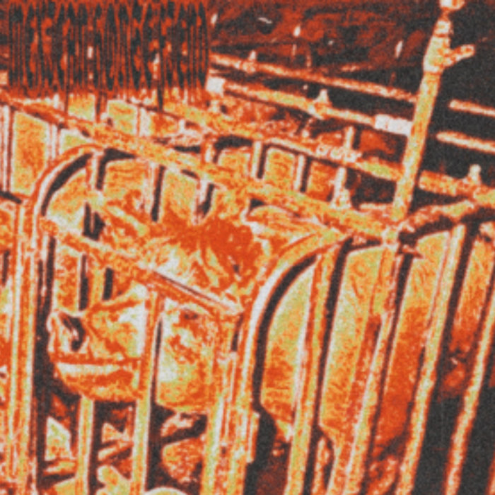 Mexican Horse Fiend Mixtape '24 | Mexican Horse Fiend