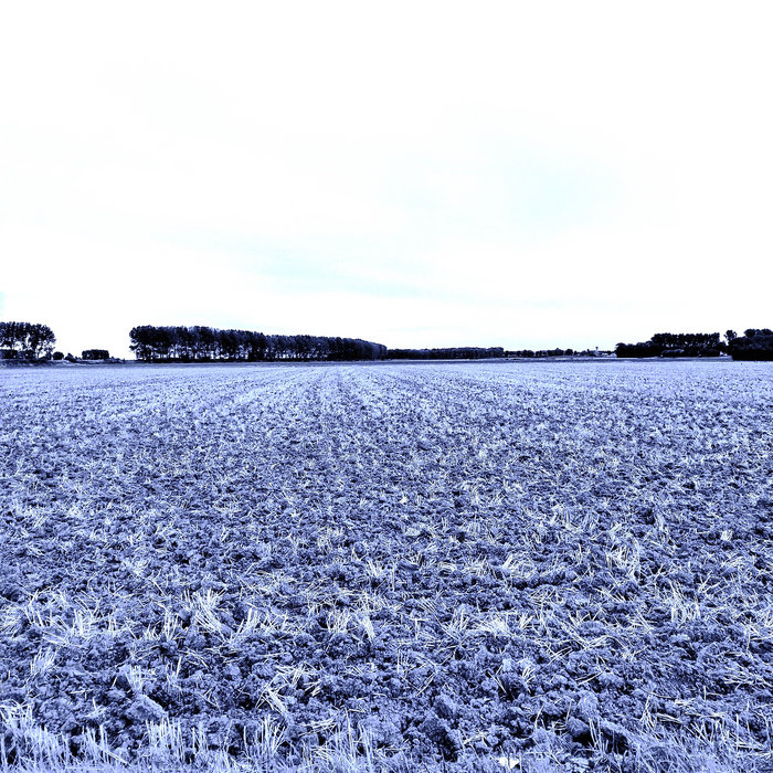 Silver Fields | Dubover Moor