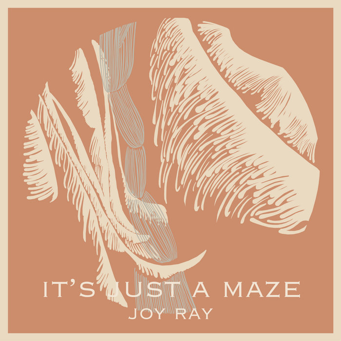 IT'S JUST A MAZE | JOY RAY