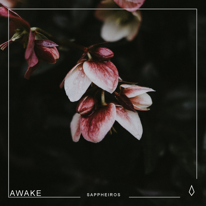 Awake | Sappheiros