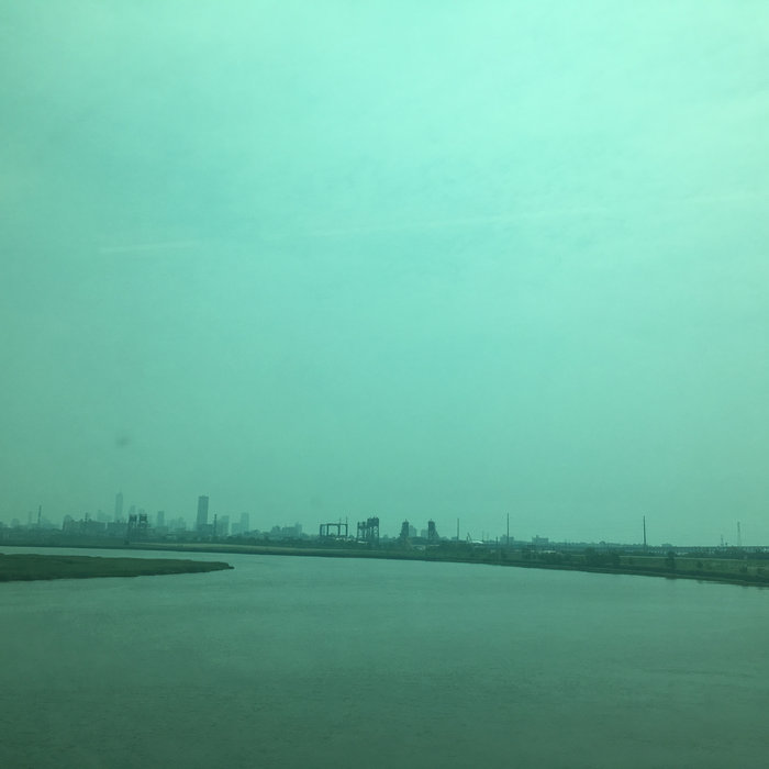 Muddy Arrows | Acer Rubrum